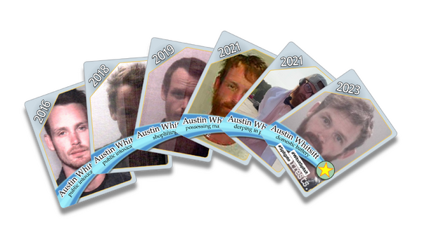 Witsit Trading Cards - Flerf Wiki