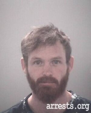 Austin Witsit - Flerf Wiki