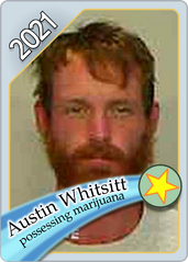 Witsit Trading Cards - Flerf Wiki